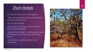 Forest ecosystem.pptx [repaired] | PPTX
