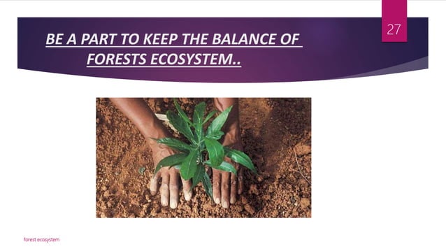 Forest ecosystem.pptx [repaired] | PPT