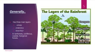 Forest ecosystem.pptx [repaired] | PPT