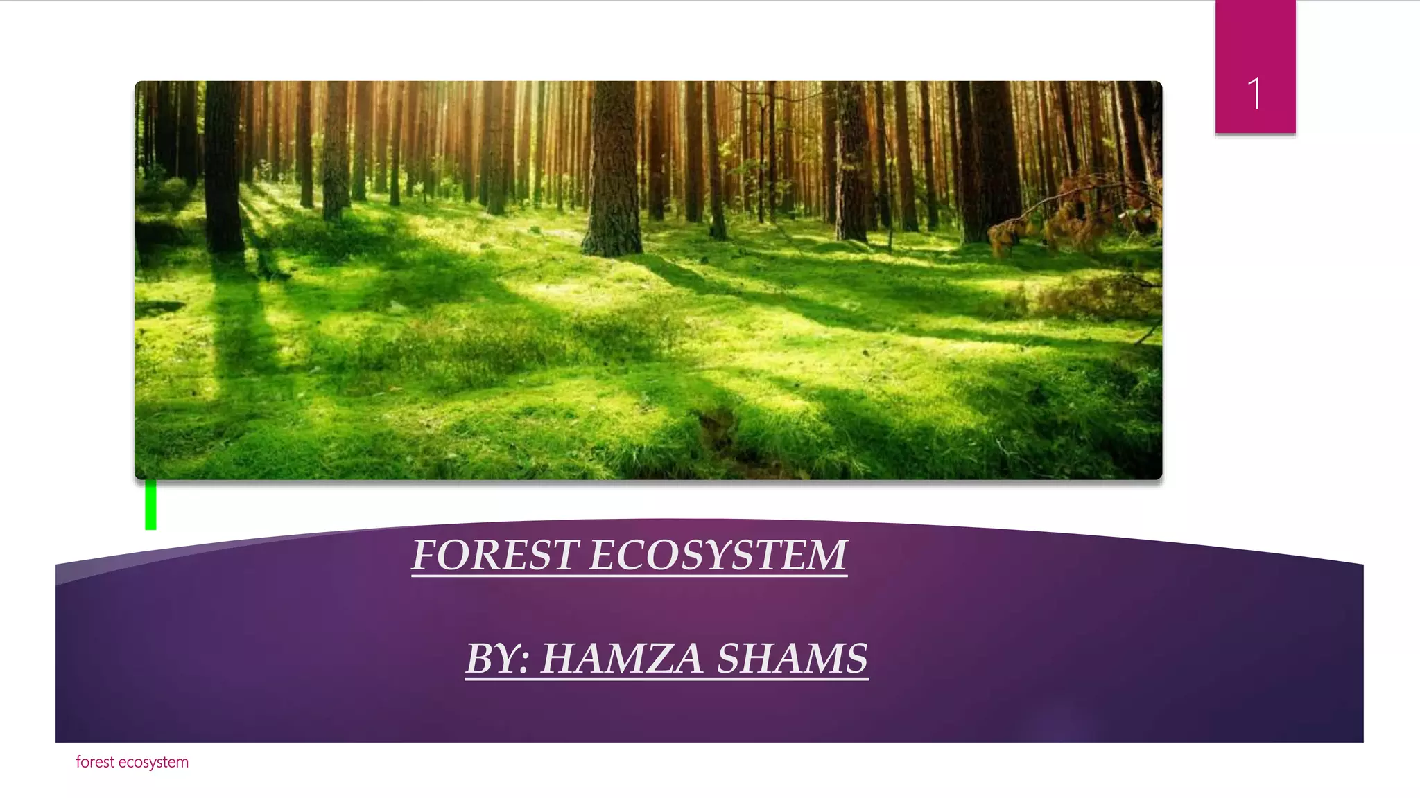 Forest ecosystem | PPTX