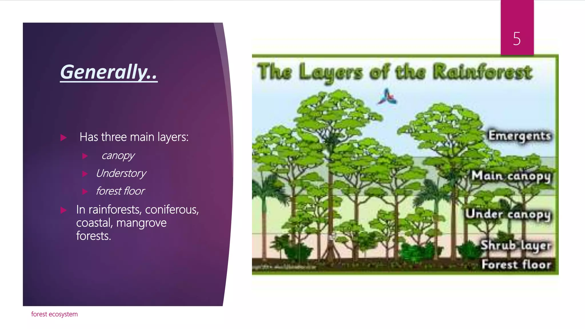 Forest ecosystem | PPTX