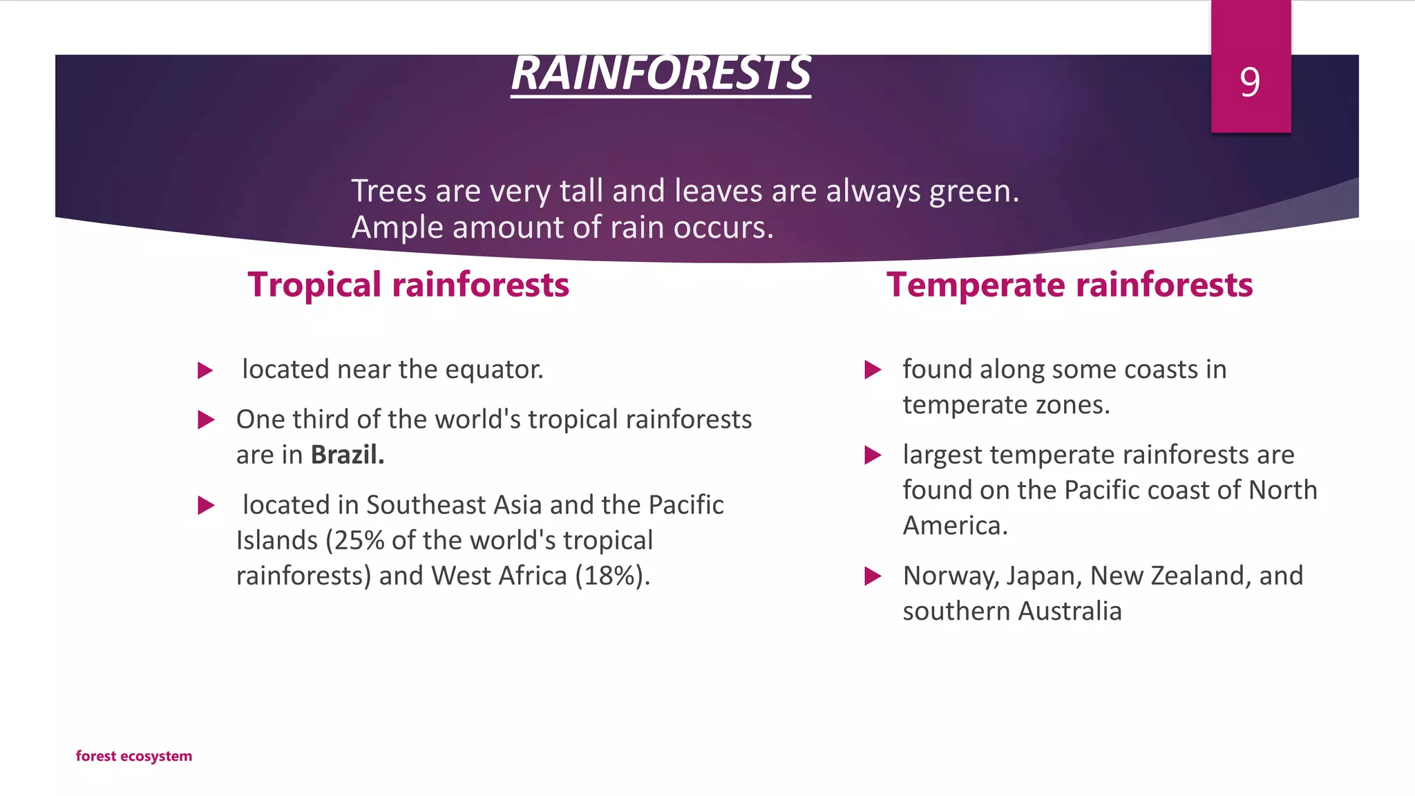 Forest ecosystem | PPTX