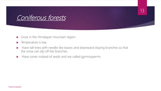 Forest ecosystem | PPTX