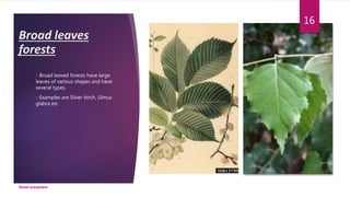 Forest ecosystem | PPTX