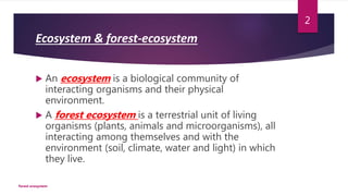 Forest ecosystem | PPTX