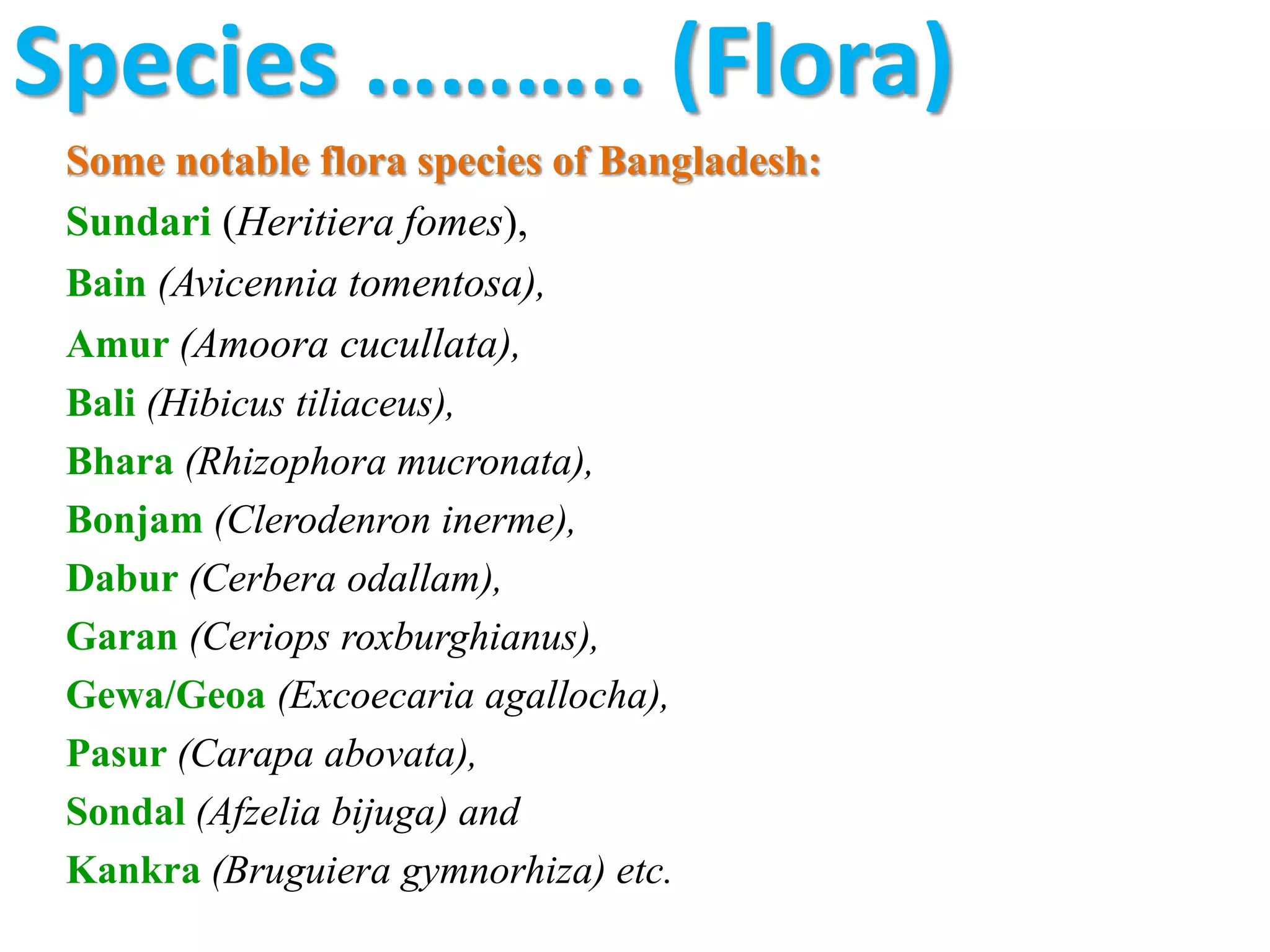 Forest Ecosystem Diversity of Bangladesh | PPTX