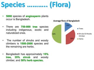 Forest Ecosystem Diversity of Bangladesh | PPTX