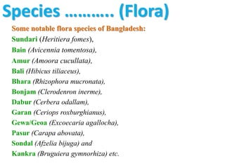 Forest Ecosystem Diversity of Bangladesh | PPTX