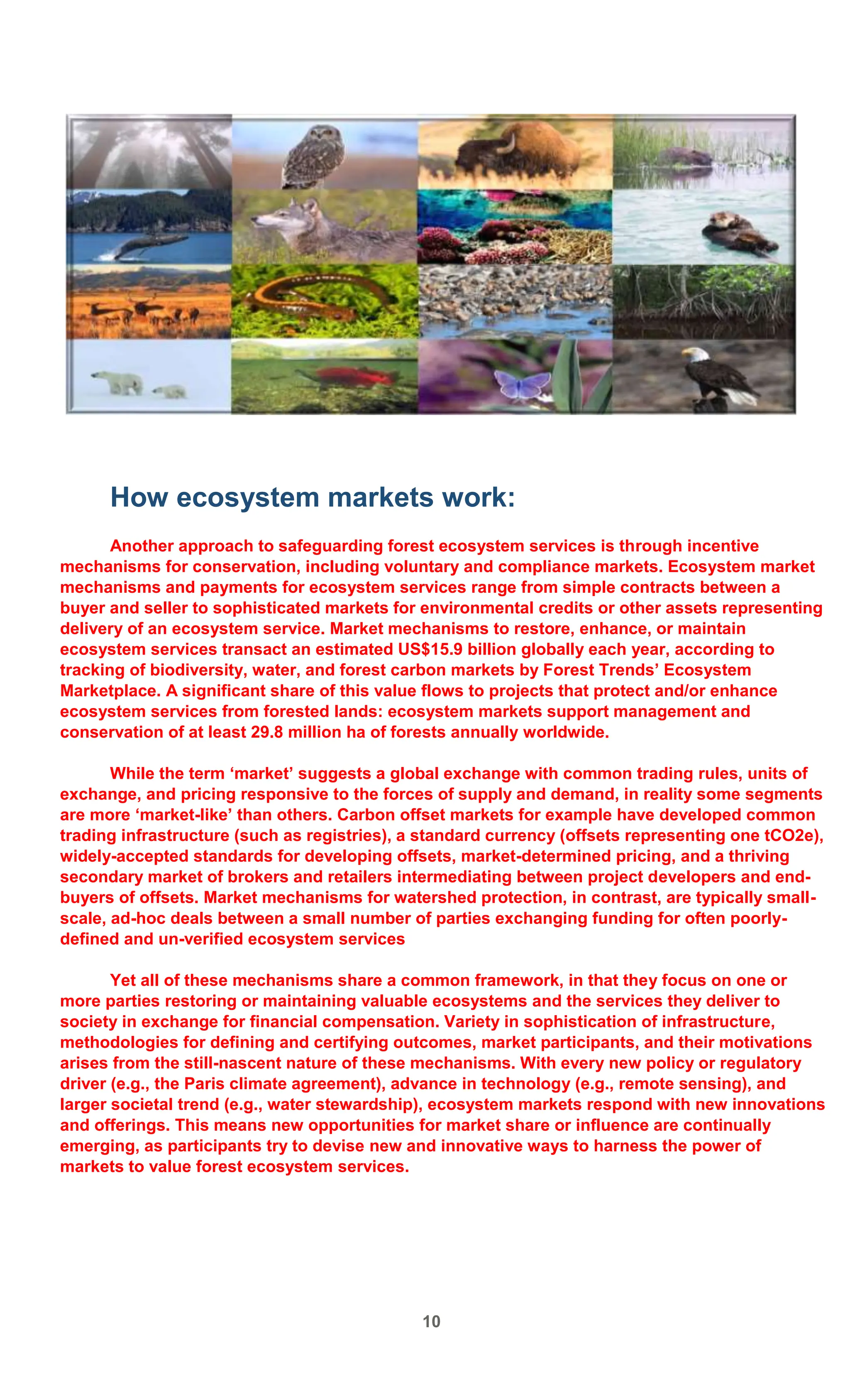 Forest ecosystem (Recovered) (Autosaved).docx