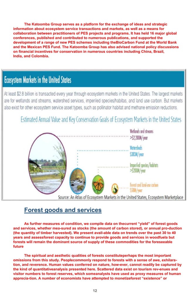 Forest ecosystem (Recovered) (Autosaved).docx | Science