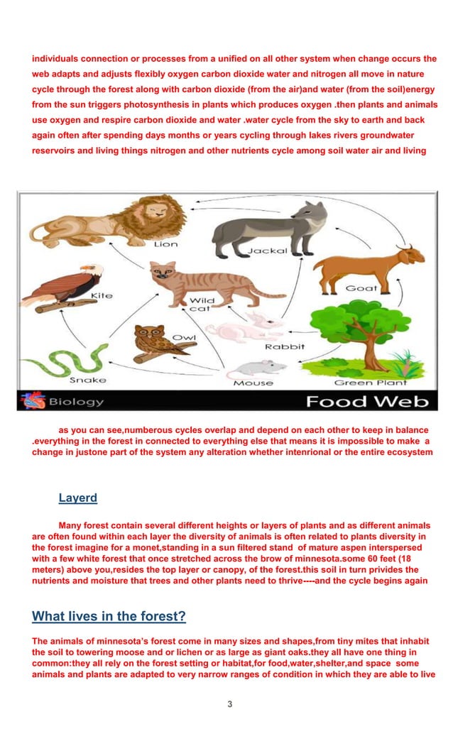 Forest ecosystem (Recovered) (Autosaved).docx | Science