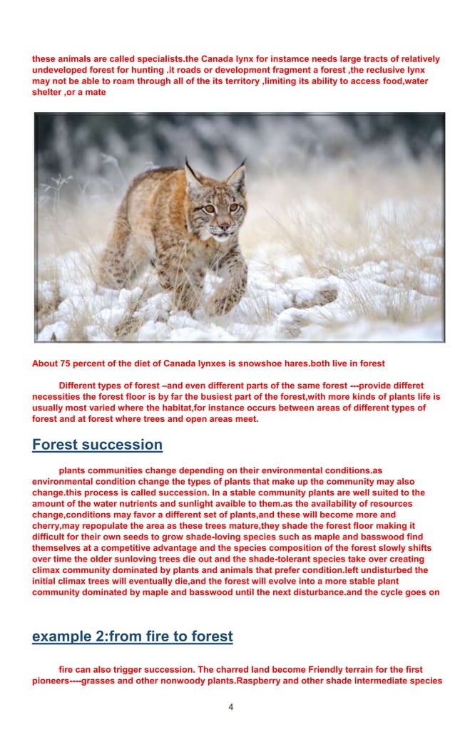 Forest ecosystem (Recovered) (Autosaved).docx | Science