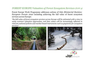Valuation of forest ecosystem services (FOREST EUROPE Valuation of ...