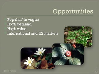 Forest Farming - Agroforestry Techniques and More | PPTX