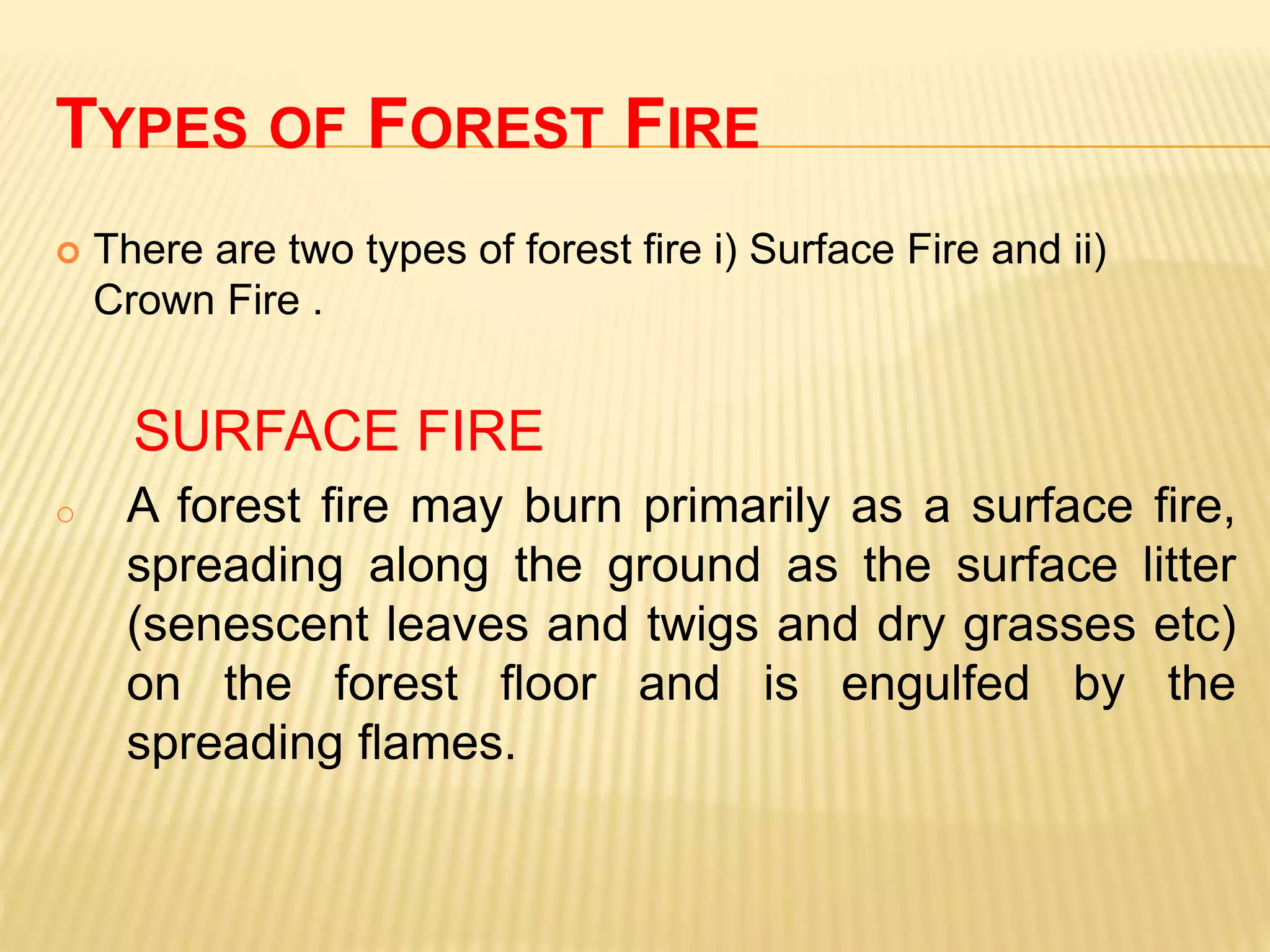 Forest fire | PPTX