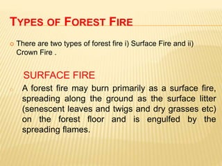 Forest fire | PPTX