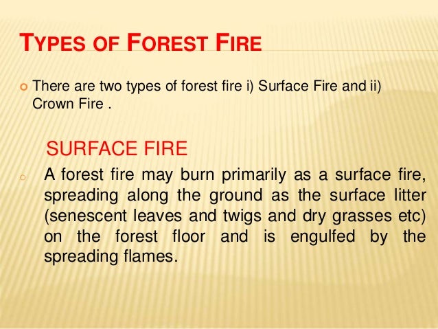 Forest fire