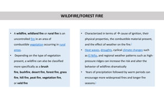 Forestfire | PPT