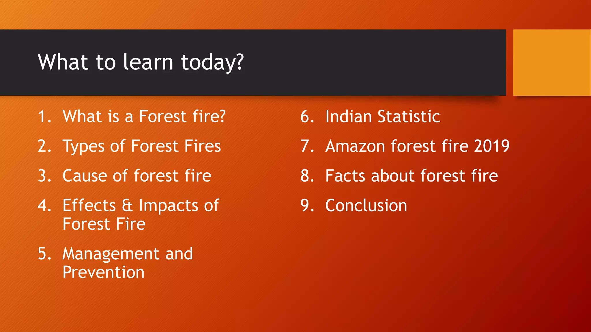 Forest fire | PDF
