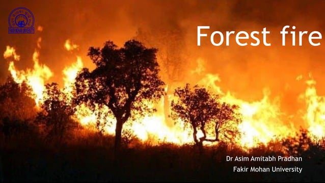 Forest fire | PDF | Geography | Science