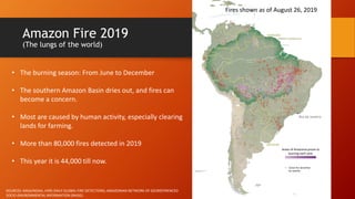 Forest fire | PDF