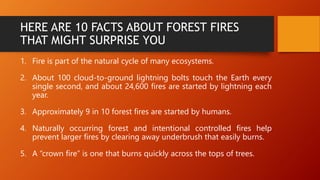 Forest fire | PDF