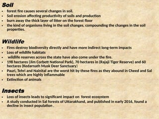 FOREST FIRE : THE BURNING ISSUE (A CASE STUDY FOR UTTARAKHAND | PPT