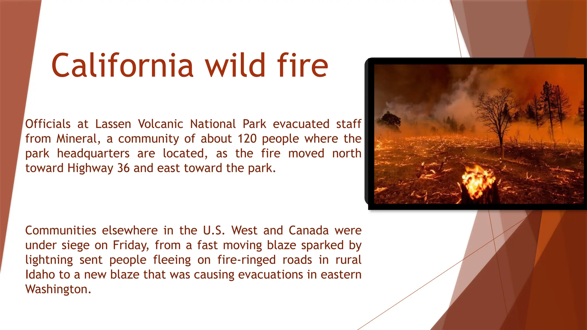 Forest Fire with images causing danger to human | PPTX