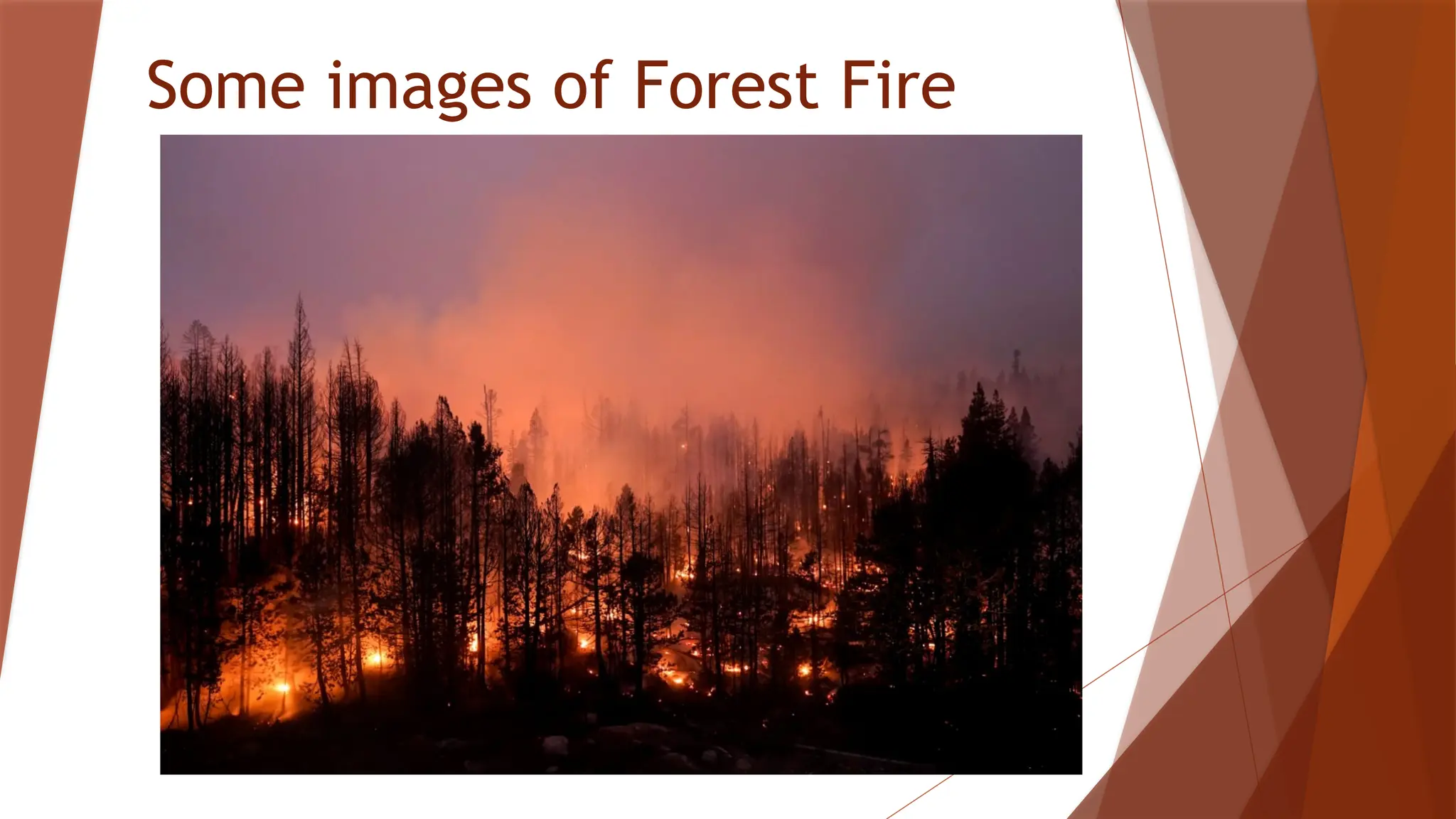 Forest Fire with images causing danger to human | PPTX