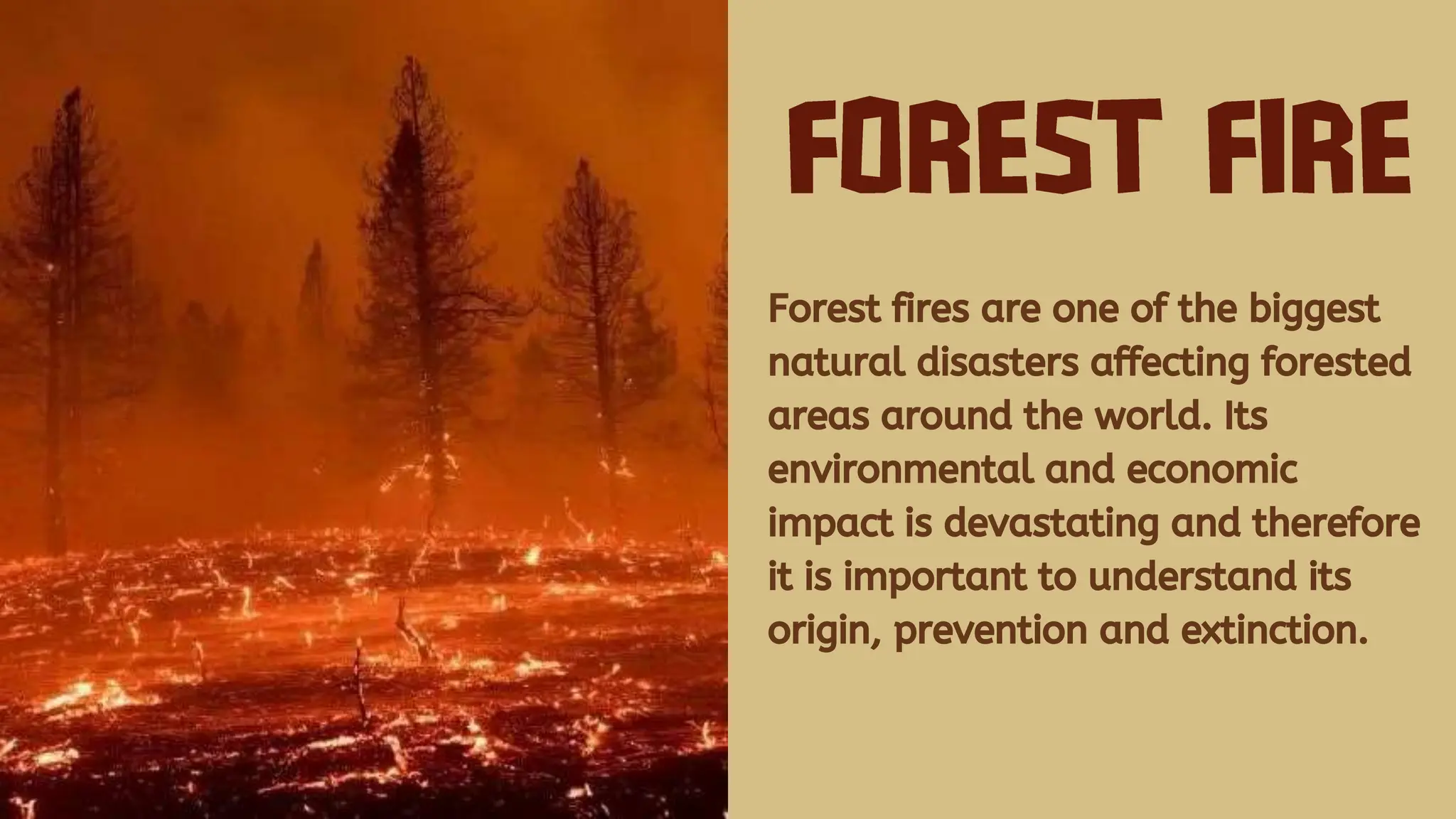 Forest fire.pptx . | PPTX