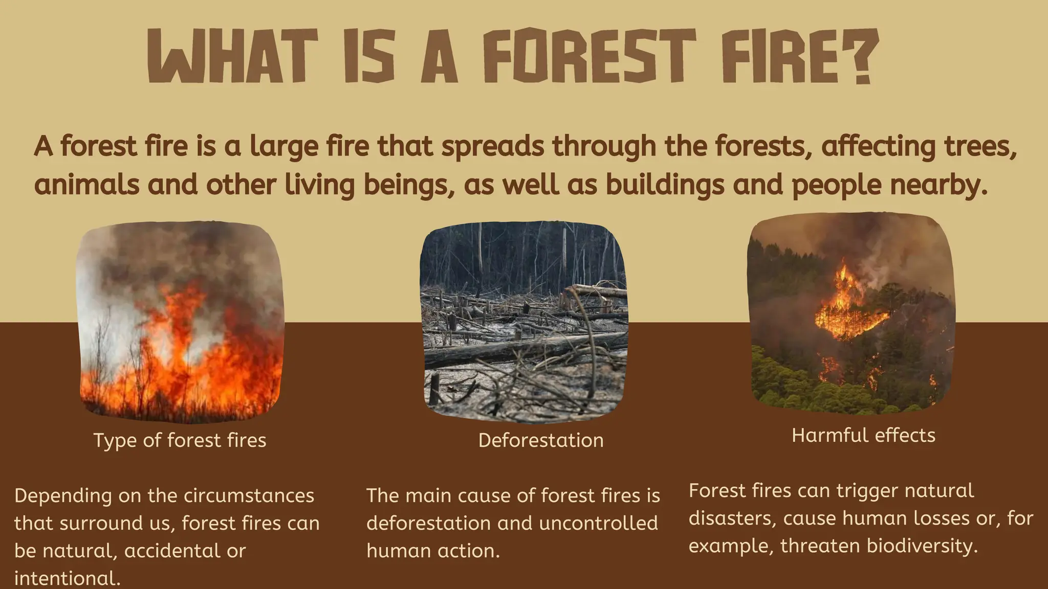 Forest fire.pptx . | PPTX