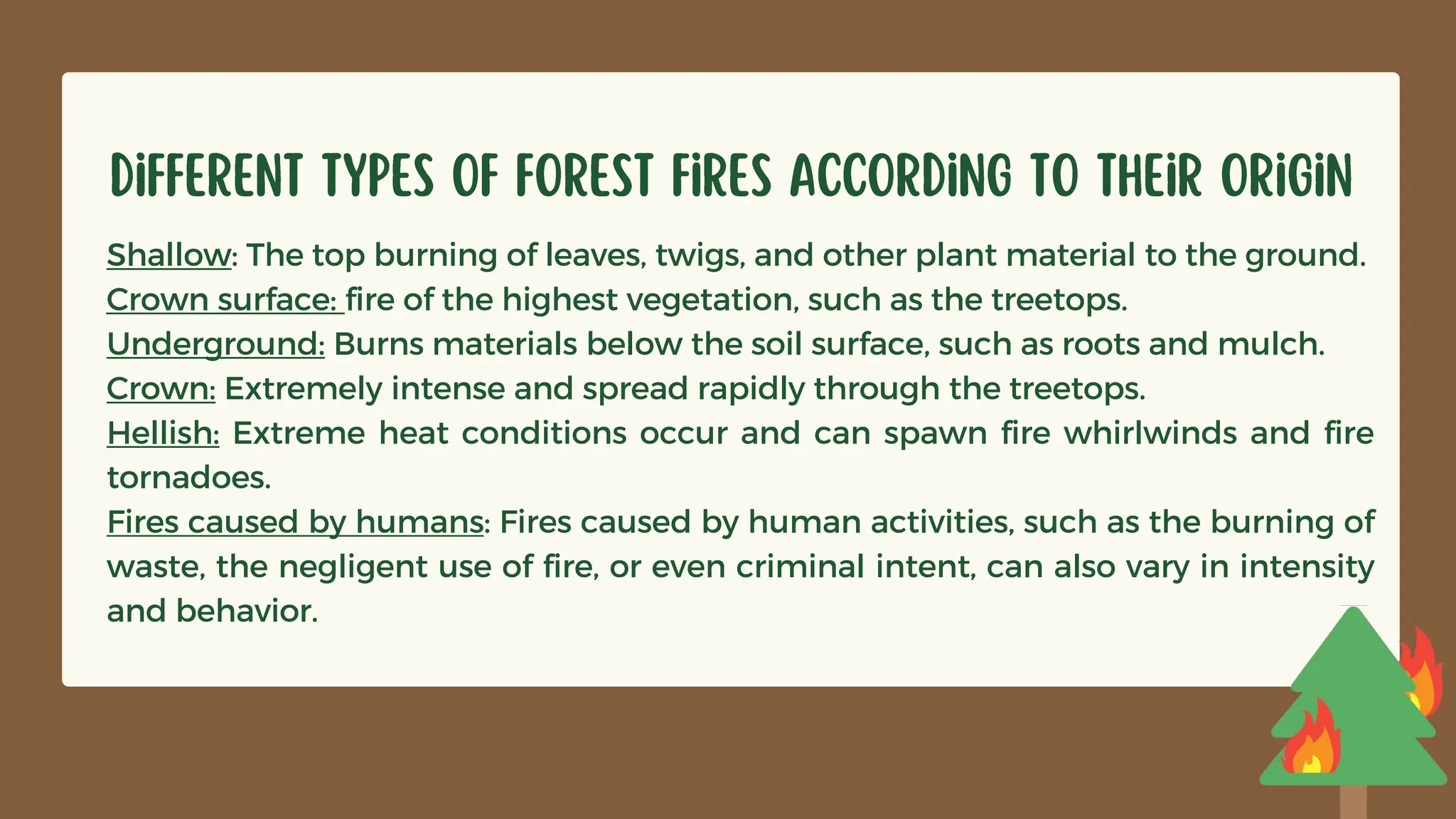 Forest fire.pptx . | PPTX