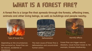 Forest fire.pptx . | PPTX