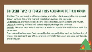 Forest fire.pptx . | PPTX