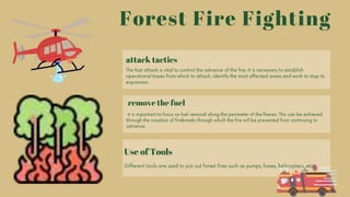 Forest fire.pptx . | PPTX