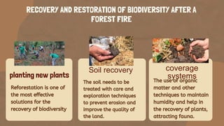 Forest fire.pptx . | PPTX