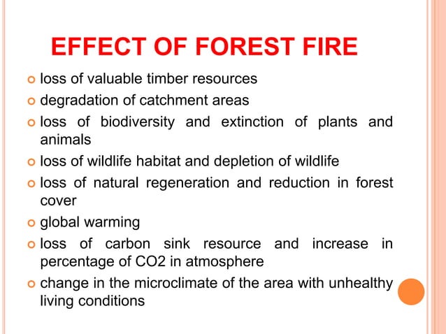 Forest fire a natural disaster | PPTX | Environmental Services Industry ...