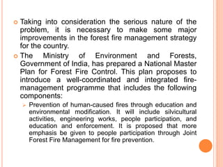 Forest fire a natural disaster | PPTX