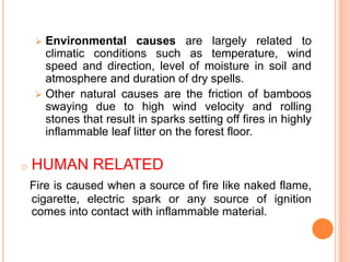 Forest fire a natural disaster | PPTX