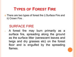 Forest fire a natural disaster | PPTX | Environmental Services Industry ...