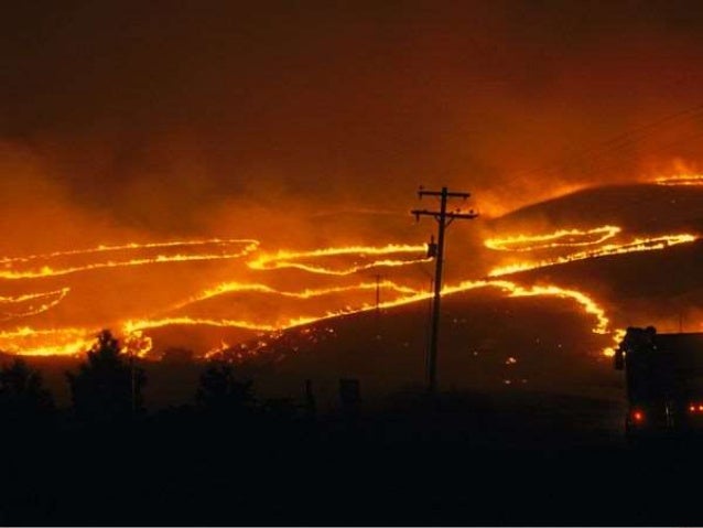 Forest fire a natural disaster