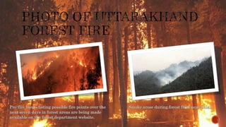 Forest Fire in Uttarakhand, India | PPTX