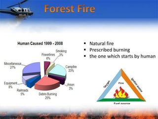 Forest fire management using gis | PPTX
