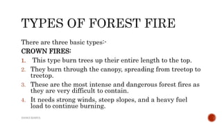 Forest fire CONTROL fire forest fire 6.pptx