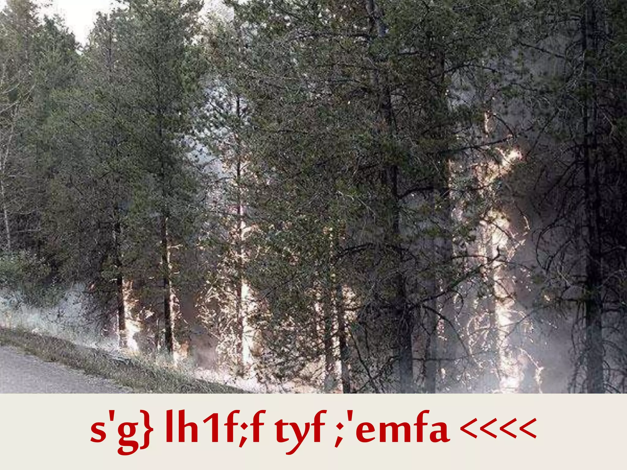 Forest Fire In Nepal, Problem and Prospects | PPTX