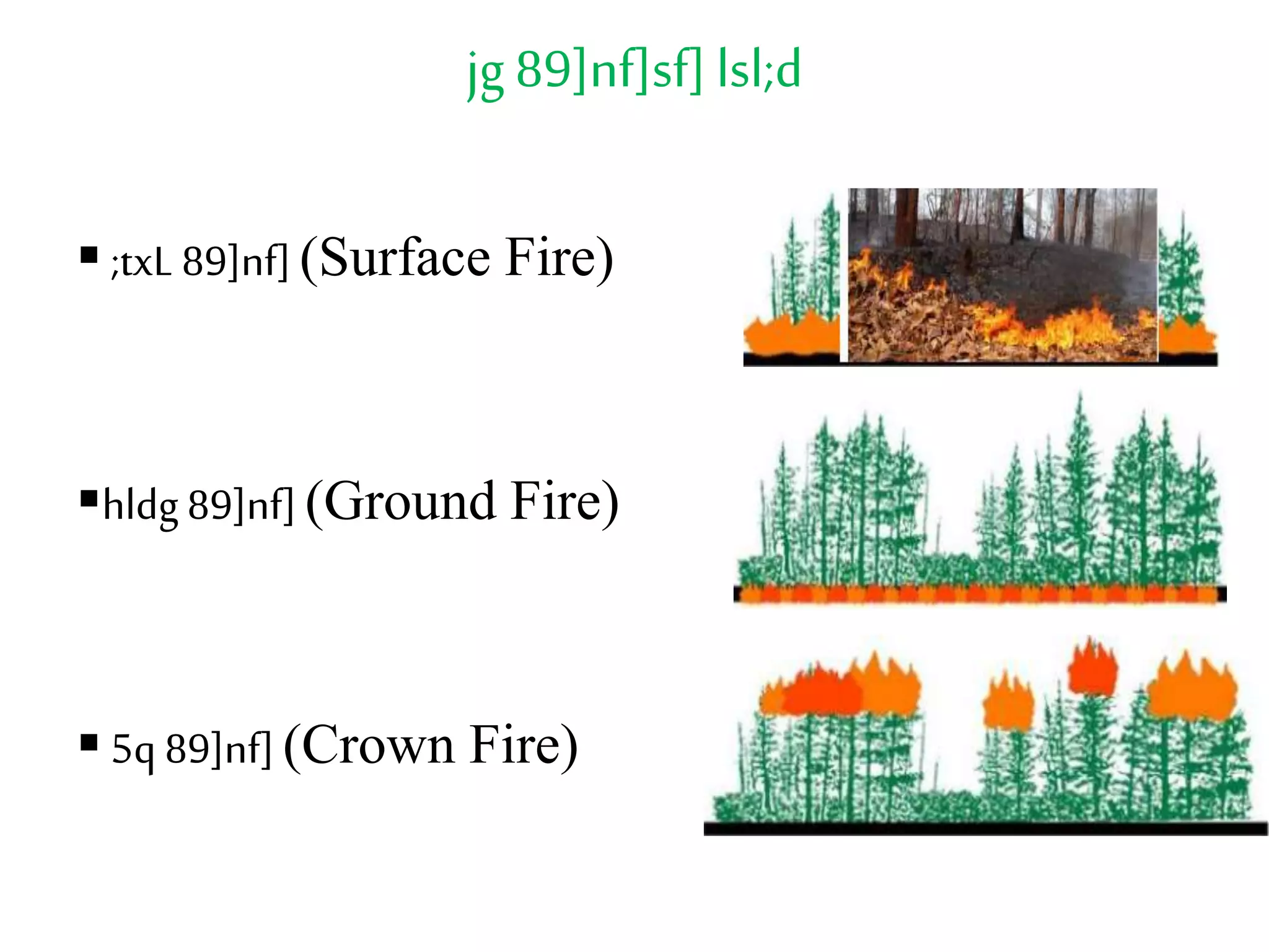 Forest Fire In Nepal, Problem and Prospects | PPTX