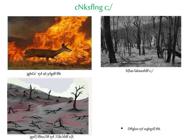 Forest Fire In Nepal, Problem and Prospects | PPTX | Geography | Science