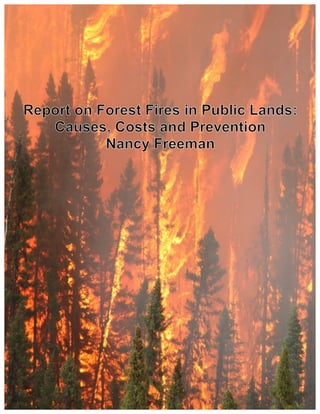 The True Facts About Forest Fires | PDF