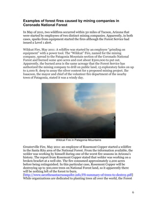 The True Facts About Forest Fires | PDF