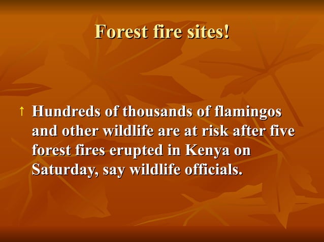 Forest Fires | PPT